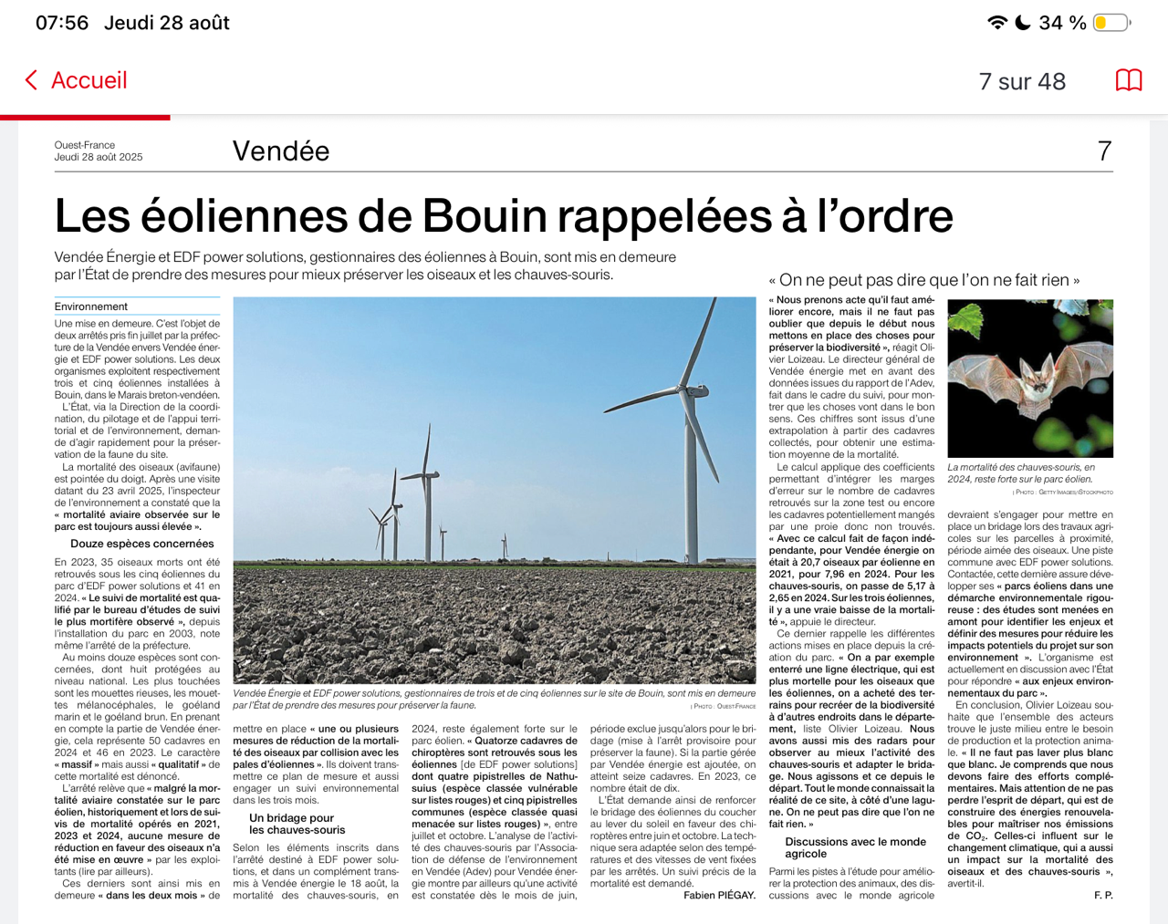 Éoliennes de Bouin : l’État sonne l’alerte pour la protection de la ...